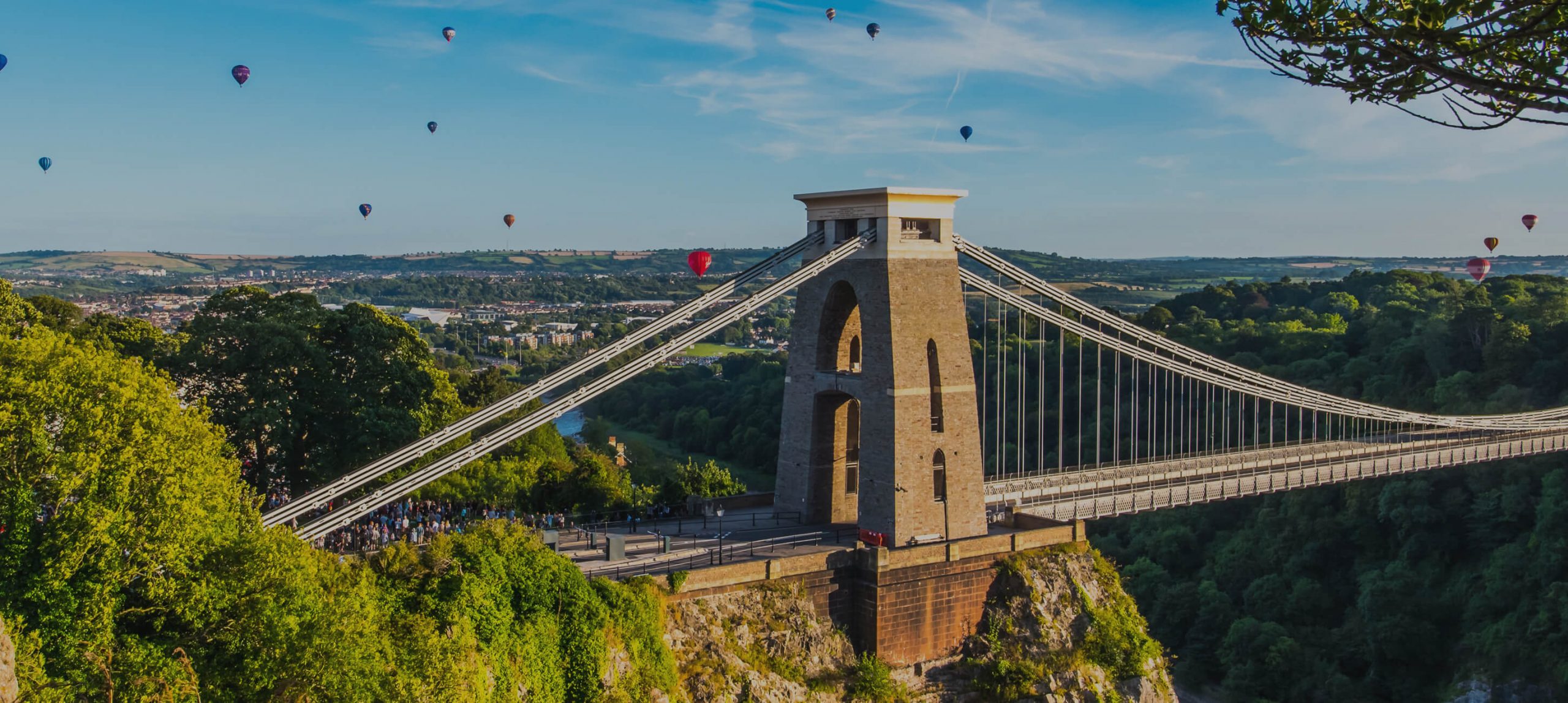 Bristol - Bakers Dolphin