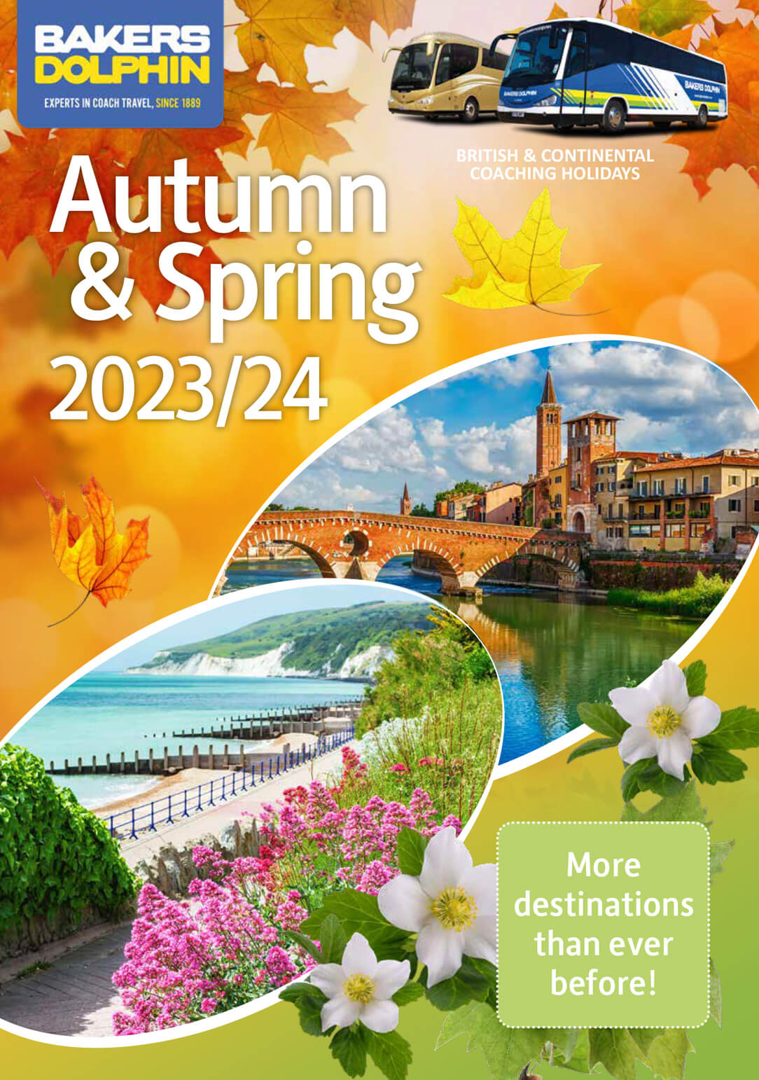 Autumn & Spring 2024/25 - Bakers Dolphin