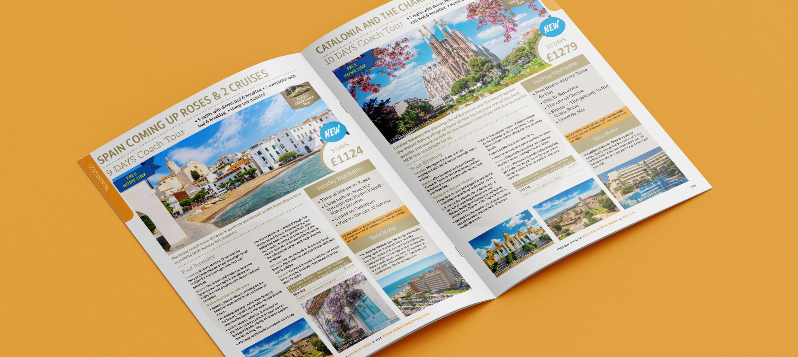 Brochures - Bakers Dolphin