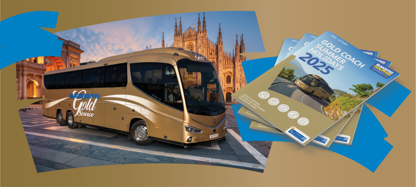 Gold Coach - Bakers Dolphin